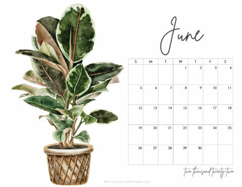 Free June 2022 Calendar | Simply Love Printables